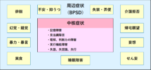 【BPSD（認知症）評価スケール】日本語版NPI【NPI-NH】 | リハビリくん