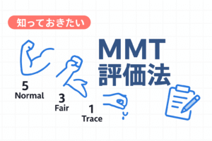 MMT（徒手筋力テスト）のやり方【 0–5 判定】重力除去位・抵抗・カルテ記載まで | リハビリくん