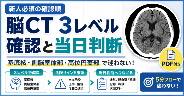 脳 CT スライスレベルの見方｜新人 PT の確認順 | リハビリくん