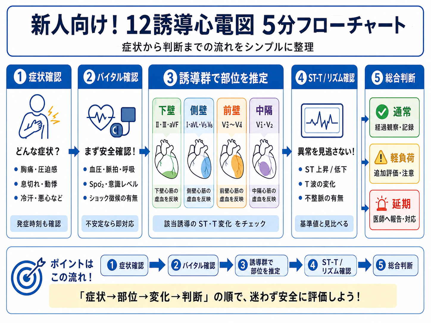 12誘導心電図の見方｜新人向け5分フロー | リハビリくん